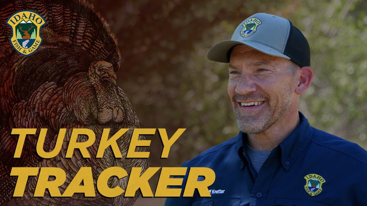 Turkey Tracker - YouTube