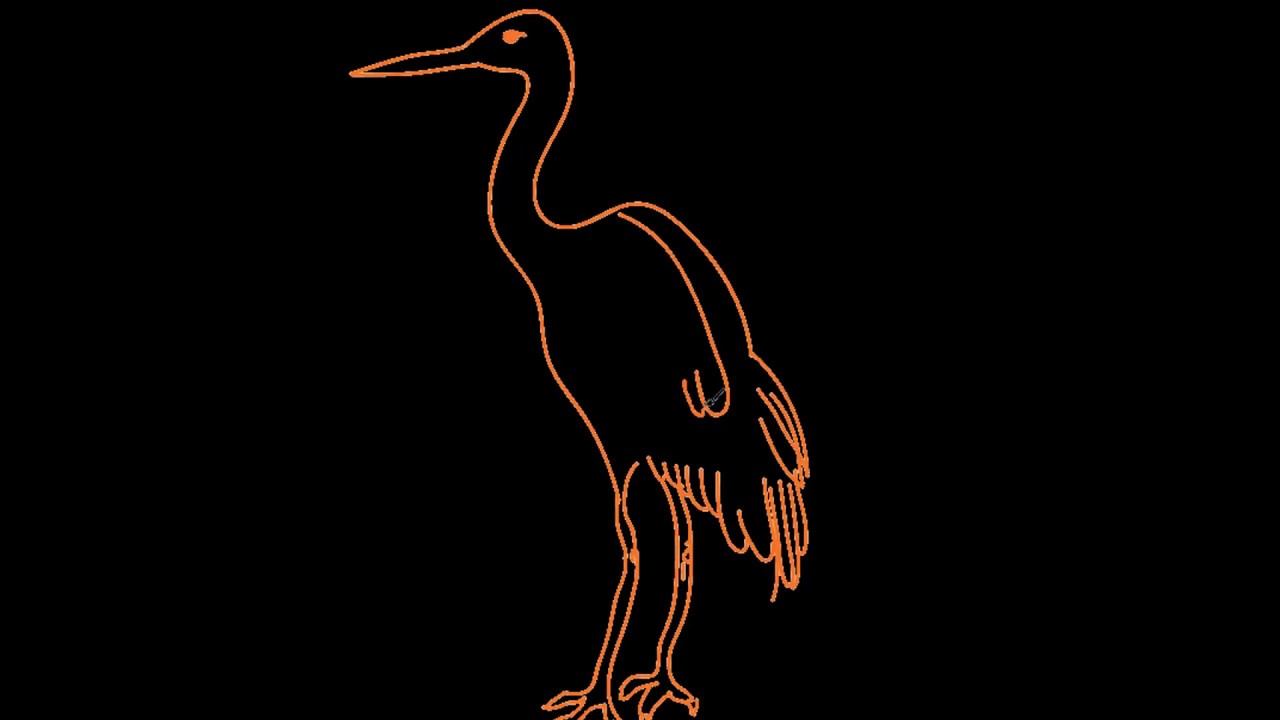 How to draw a Egret step by step - YouTube