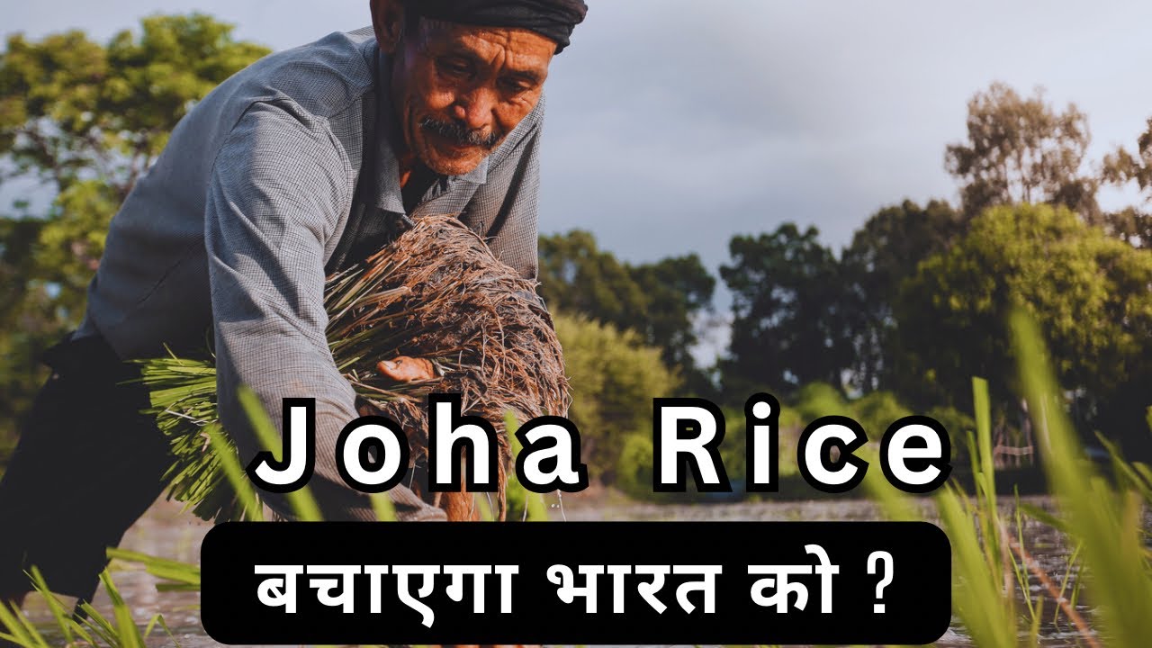 The Power of Assamese Joha Rice: Your Upsc Game Changer - YouTube