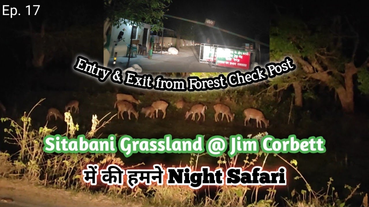 Sitabani Zone Grassland तक हम गए रात में | Jim Corbett - Teda Gate-Kosi ...