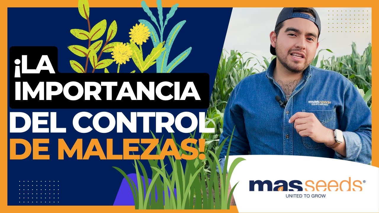 🌿 MALEZAS ︎ ¡Por qué es IMPORTANTE tener un buen CONTROL de MALEZAS! 🍃 ...