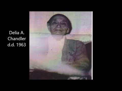 Delia A. Chandler 1874-1963 and Zenus Chandler 1867-1947 & Siblings ...