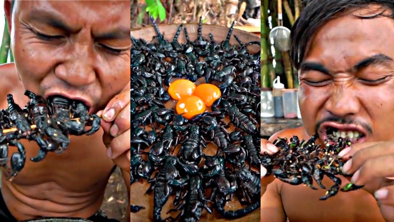 OMG!!! Cooking Scorpion with Egg 🦂 | Too Delicious - YouTube