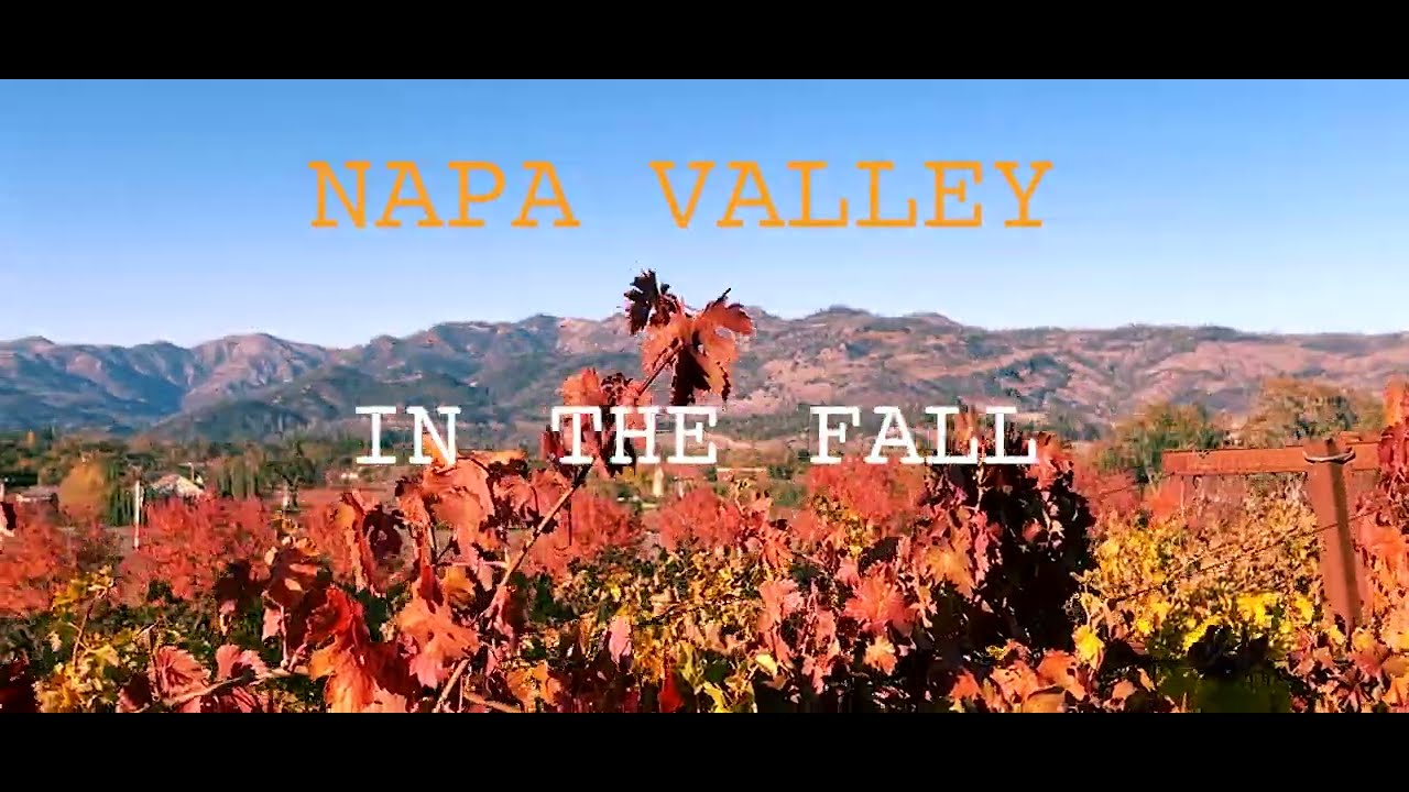 FALL in Napa Valley. - YouTube