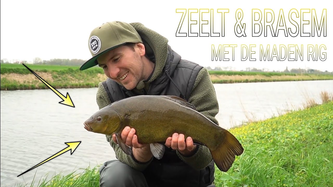 #193 - ZEELT en BRASEM vissen met de MADEN RIG! Robert Grootenboer ...