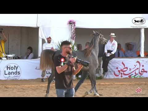 Palestine International Championship 2022   SULTAN AH