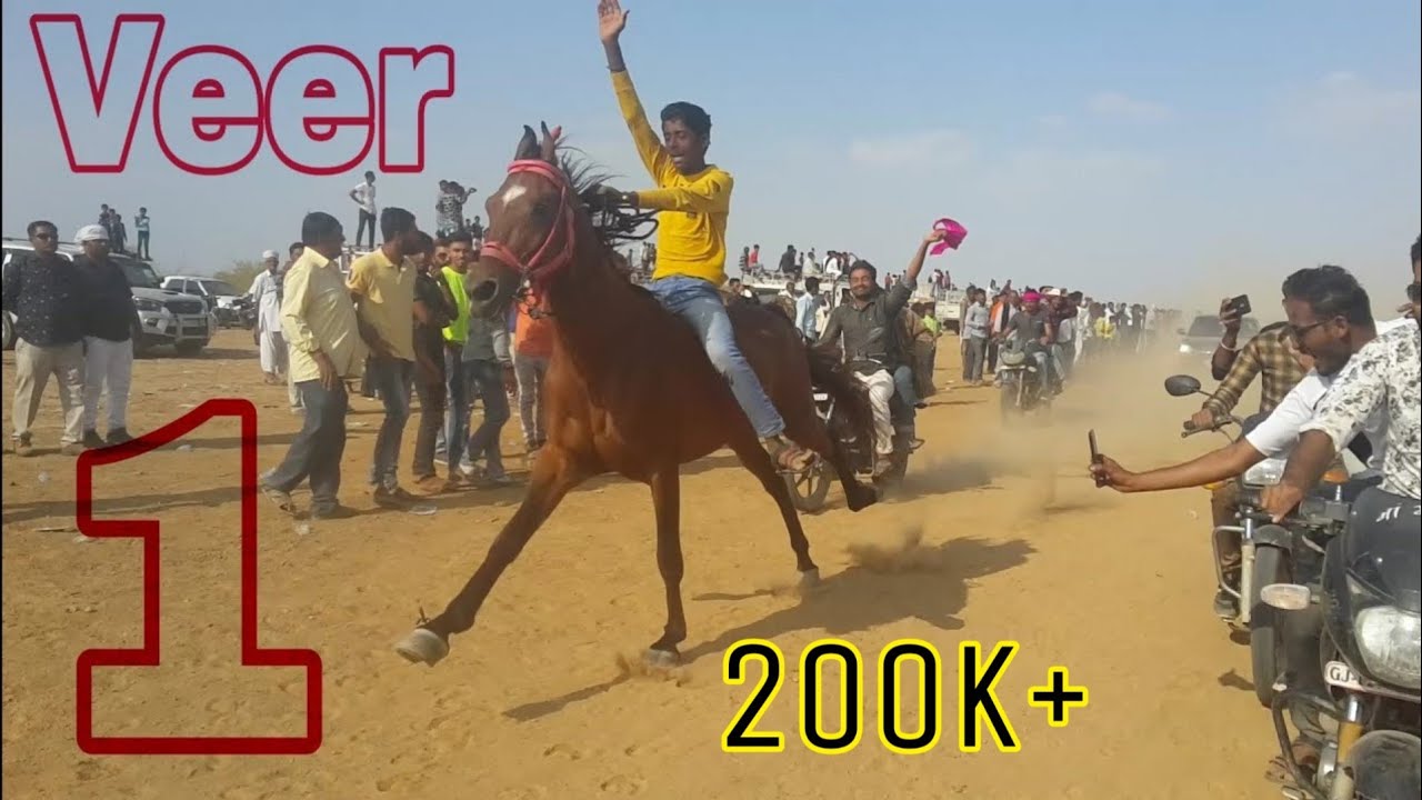 Kutch Big Horse Race In Dhrang Mekan Dada | वाह वीर वाह - YouTube