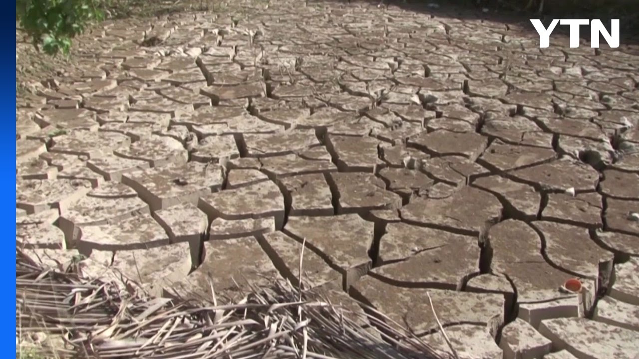 WMO "연말에 '라니냐' 발생 가능성 60%" / YTN - YouTube