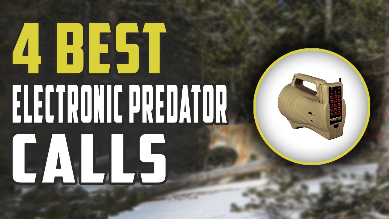 Best Electronic Predator Calls In 2021 | Top 4 Electronic Predator Call ...