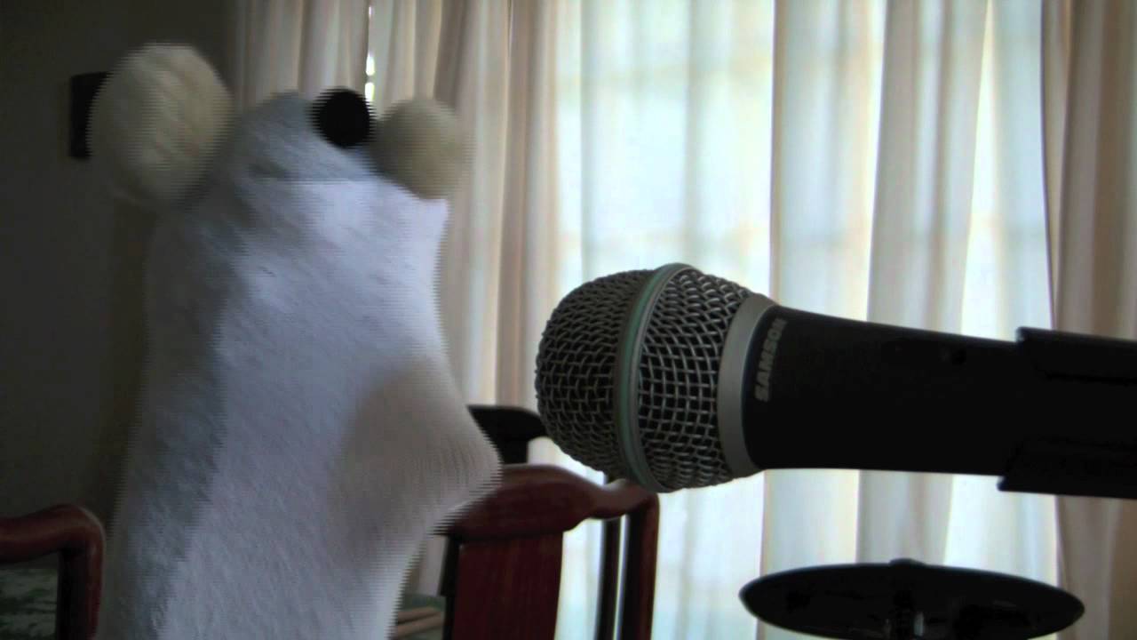 WALLACE RADIO- bernie the bear live in the studio - YouTube