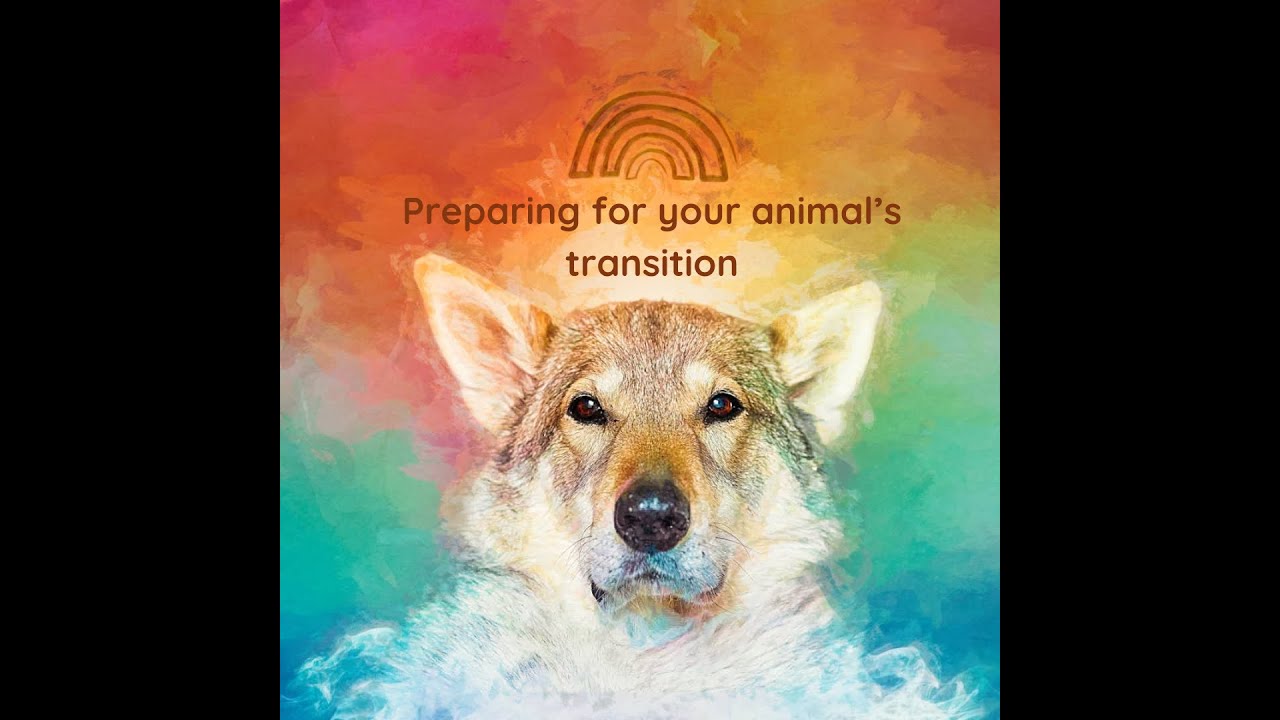 Creating Ceremony for your Animal's Transition & what they want us to ...