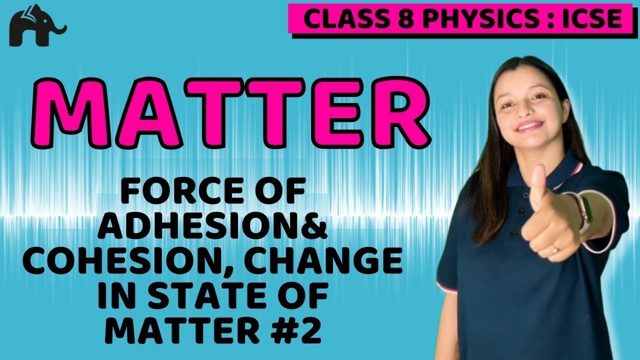 Matter Class 8 ICSE Physics | Selina Chapter 1 | Adhesion & Cohesion ...