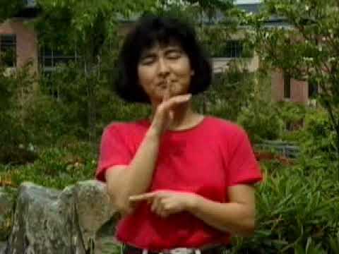 American Sign Language - YouTube