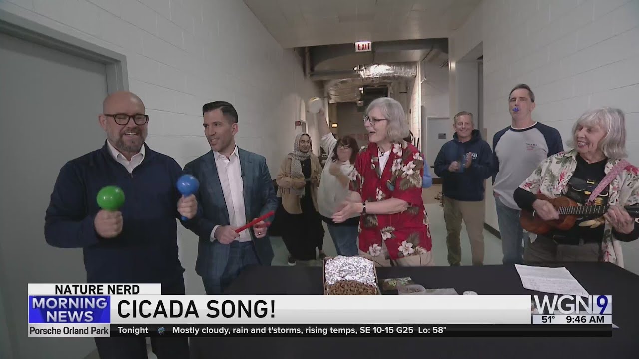 Brand New Cicada Song! - YouTube