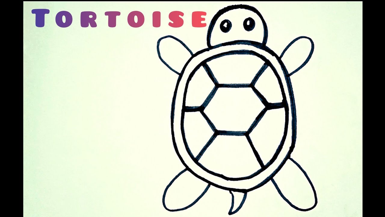 How to draw a tortoise easy || Tortoise drawing - YouTube