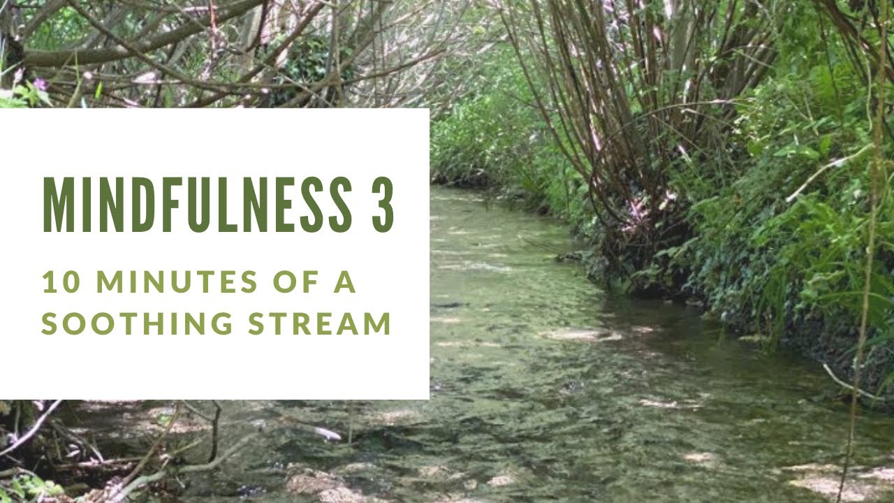 Mindfulness 3 Soothing Stream - YouTube