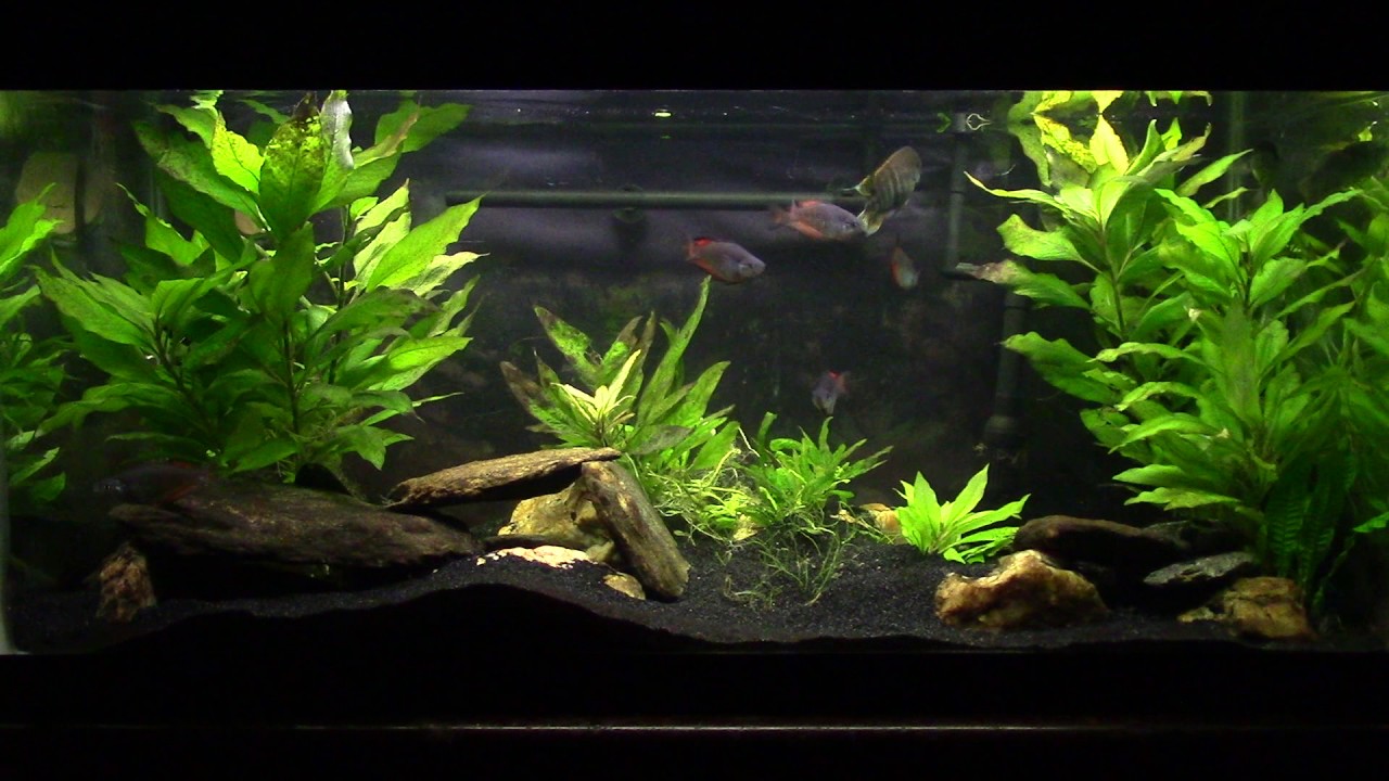 Thoughts on The Future of My YouTube Channel - YouTube