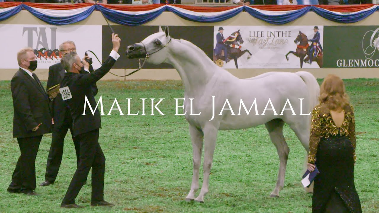 Malik el Jamaal - 2020 U.S. Nationals - YouTube