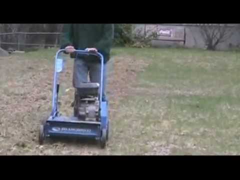 Thatching a Lawn How to get rid of Thatch - YouTube