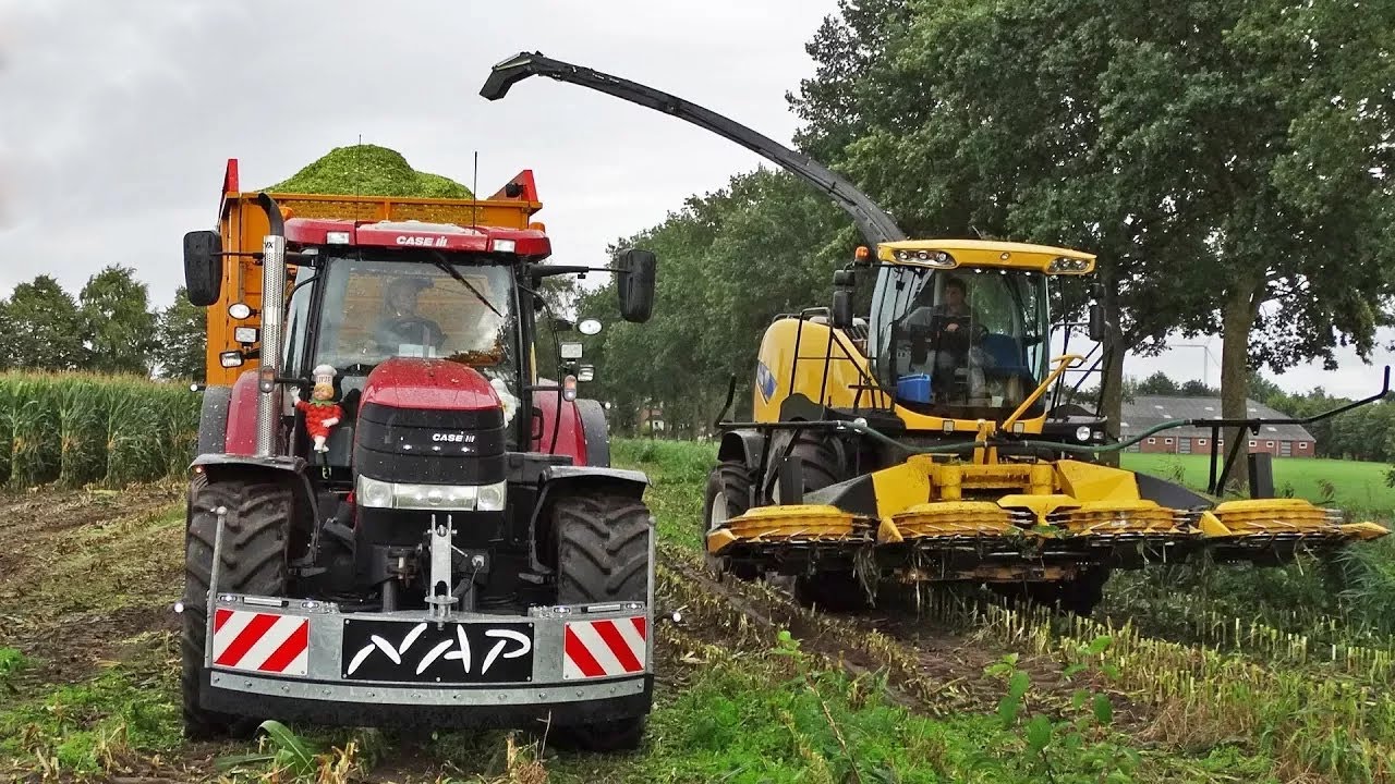 Mais Silage | New Holland FR600 + Case IH Puma | NAP | 2017 - YouTube
