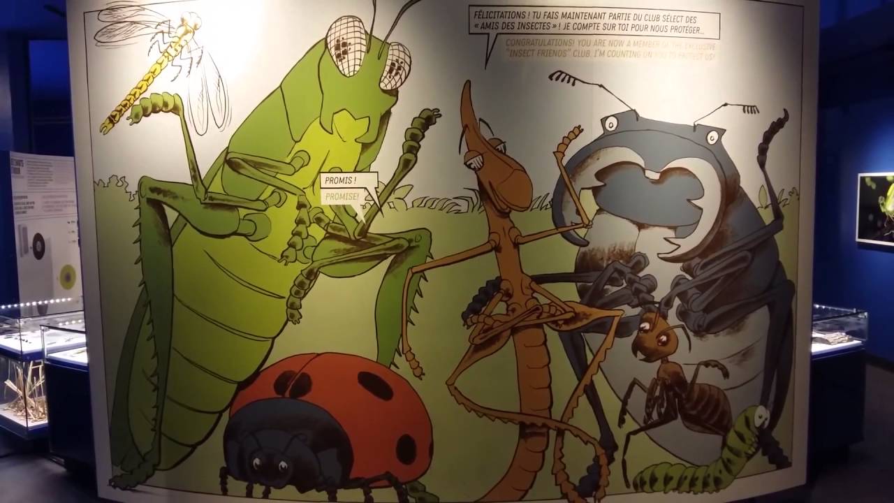 Insectarium - Montreal Botanical Garden video tour - YouTube
