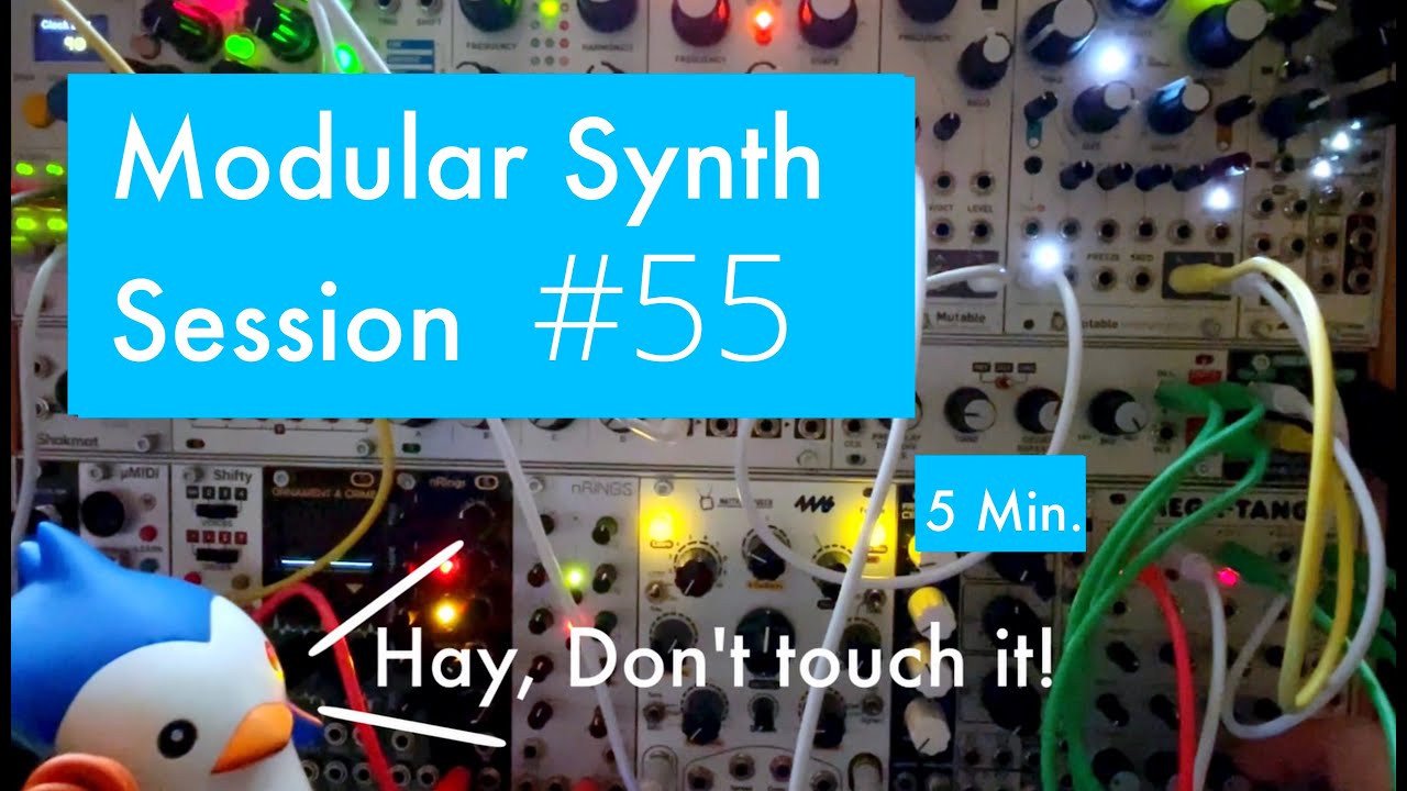 Modular Synth Session #55 for your relaxing time. - YouTube
