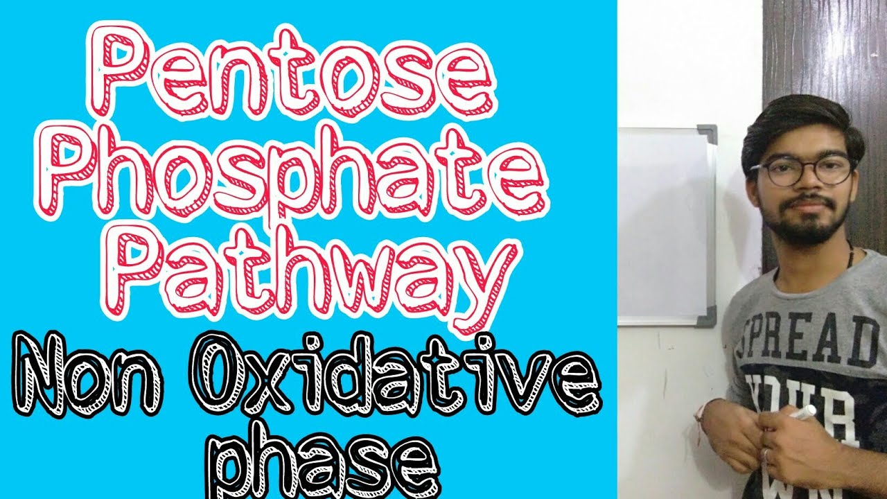 Pentose Phosphate Pathway | PPP | Non Oxidative phase - YouTube
