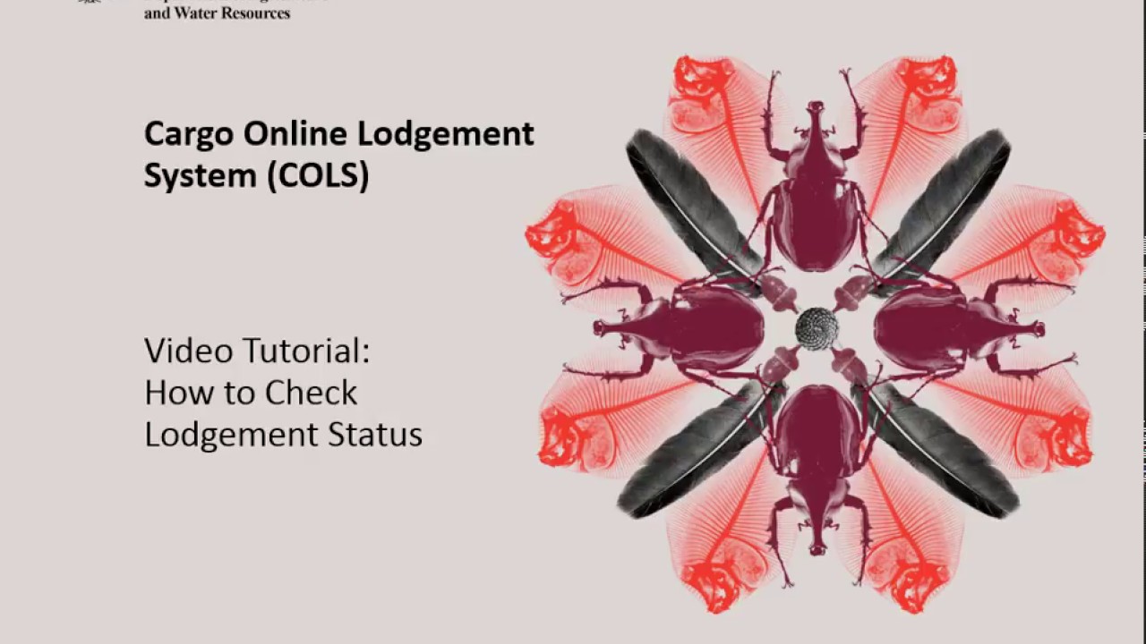 COLS Cargo Online Lodgement System: How to Check Lodgement Status - YouTube