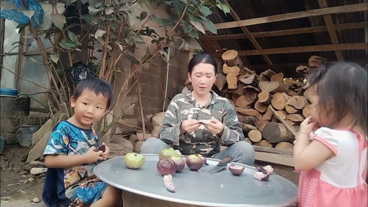 Kuv nce ntoo mus de txiv nqos vias los rau cov yau peb noj qab kawg - YouTube