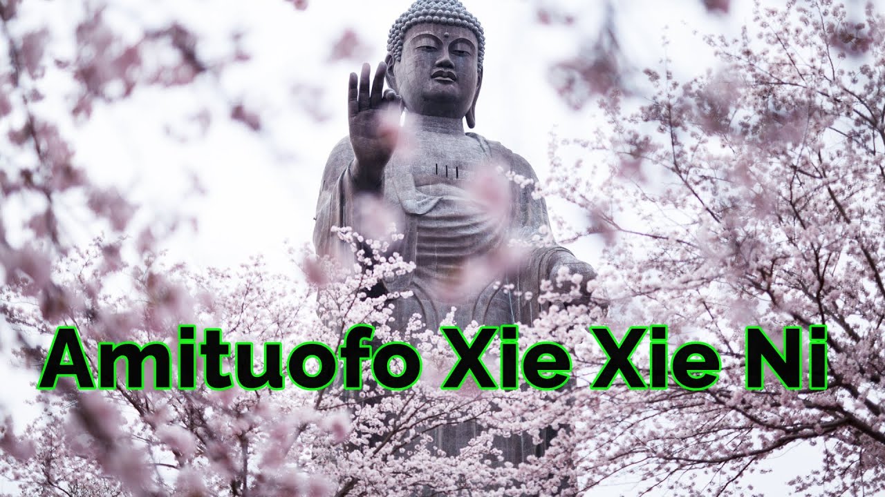 Amituofo xie xie ni 阿弥陀佛谢谢您 Buddhist song - YouTube