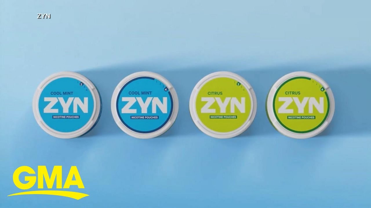A look at new nicotine substitute ZYN - YouTube