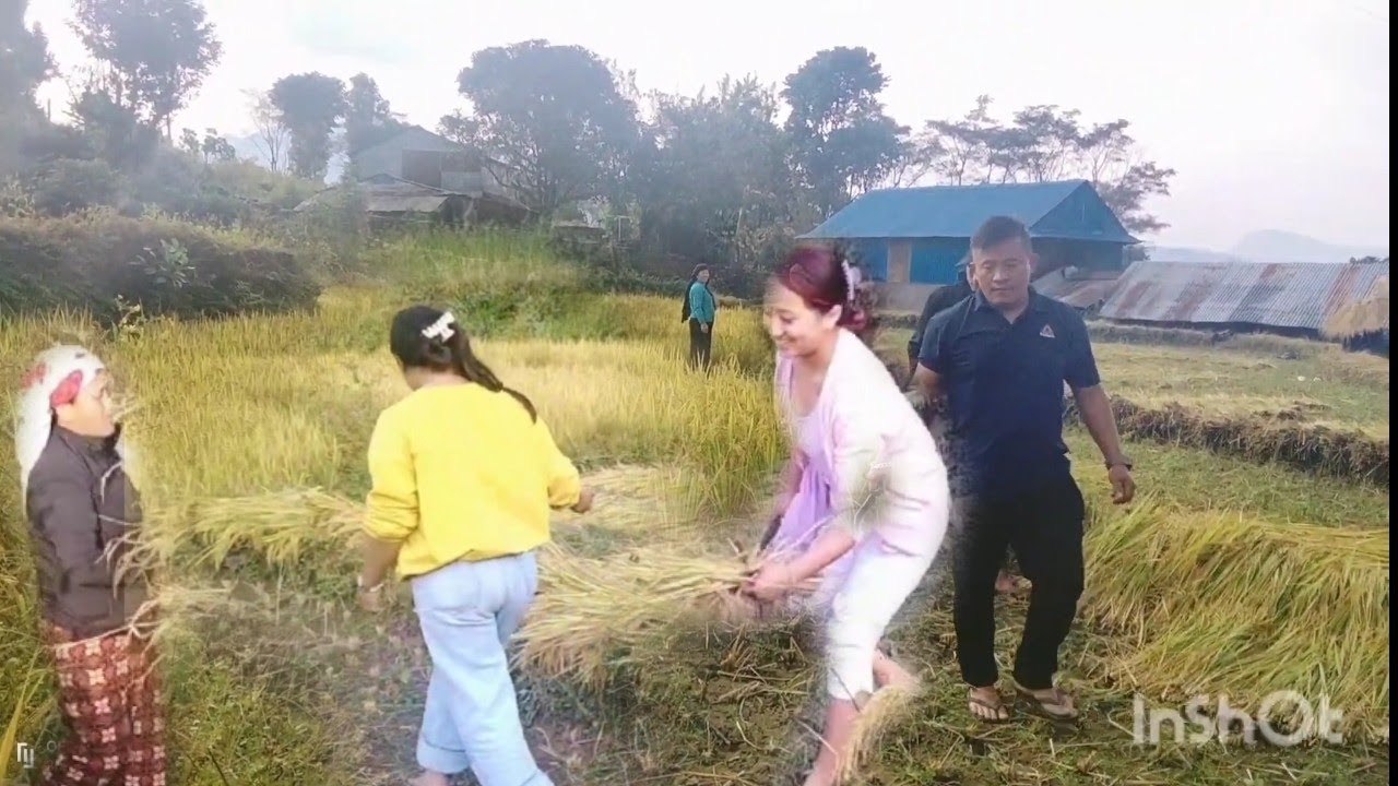 Gau ma dhan kateko vlog - YouTube