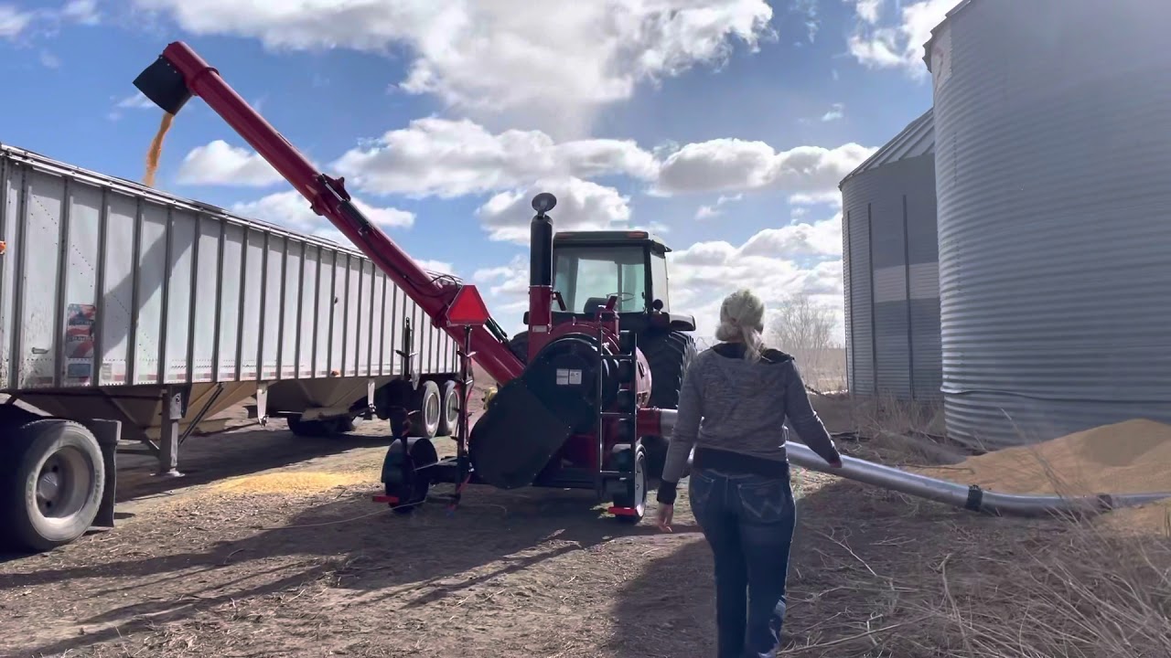 Farm life trucking, hauling corn, semi, grain vac - YouTube