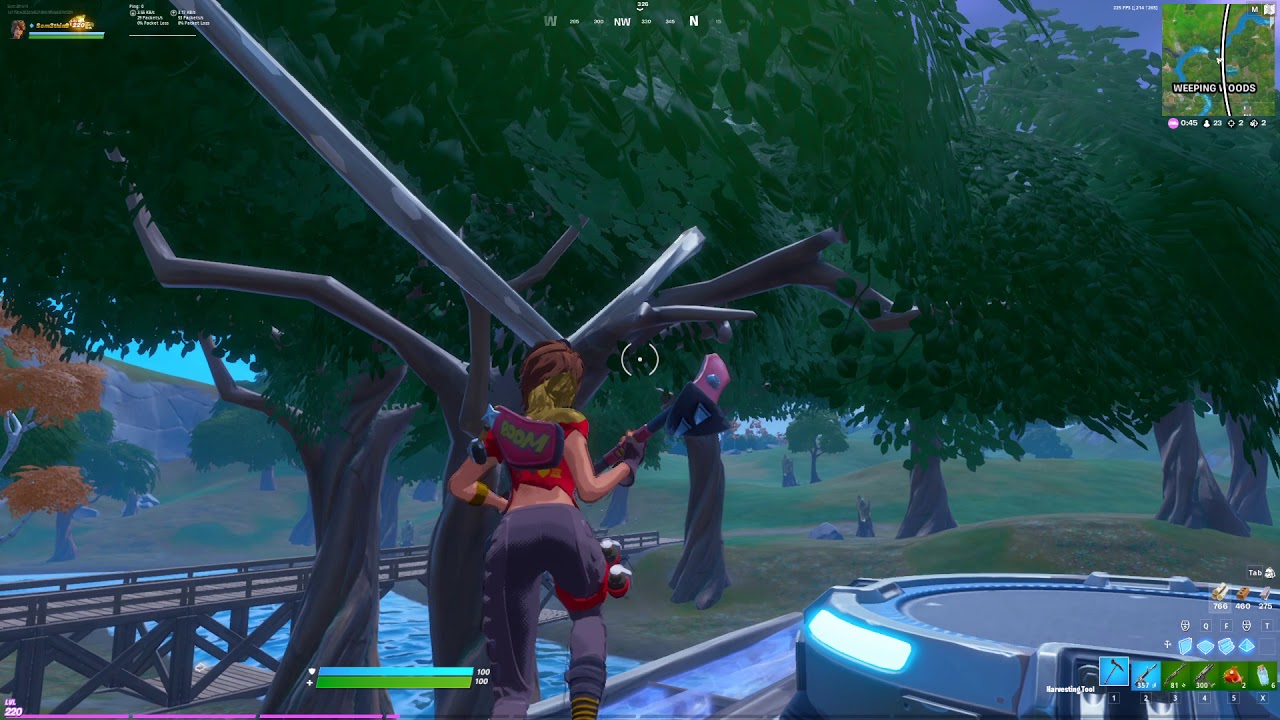 Fortnite Peace Treaty between Bears and Gnomes and some Gameplay too ...