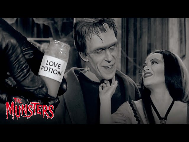 The Munsters Love Quotes Keep It Dark & Spooky 🕸🕷🦇