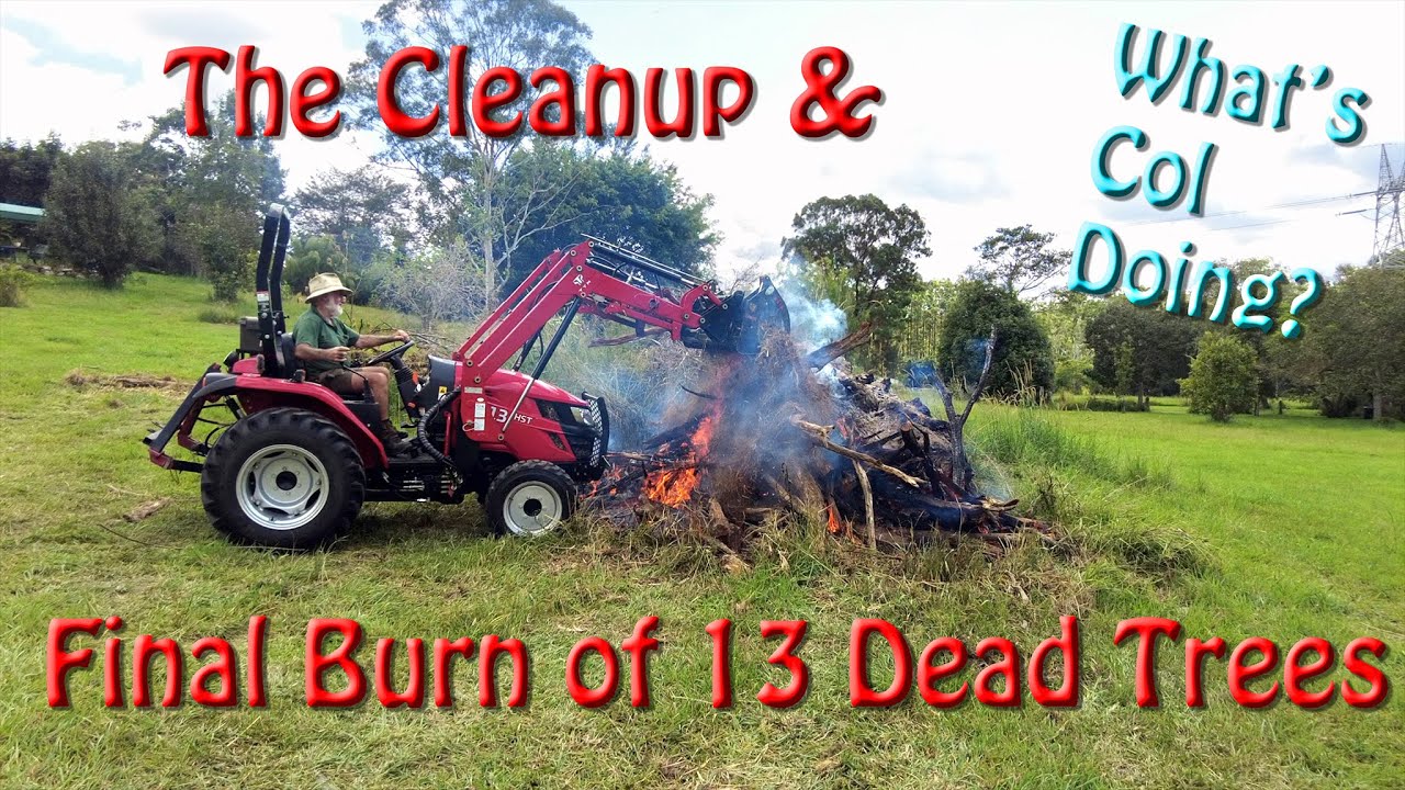 Clearing Logs & Final burn of 13 Dead Trees - YouTube