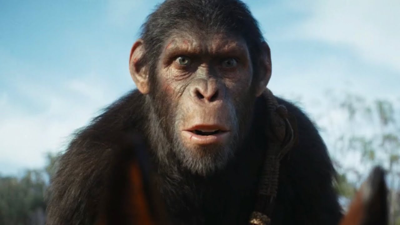 Kingdom 😡😡#hollywood #planet #monkey - YouTube