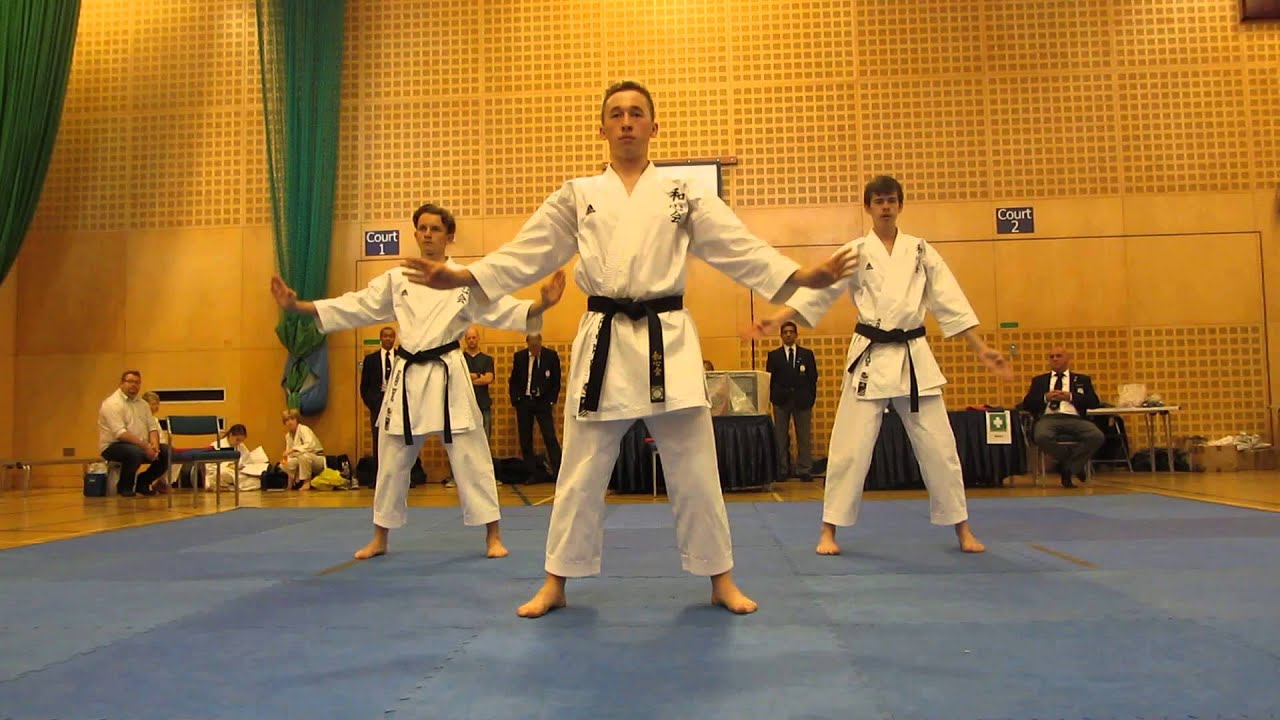 Kata demonstration with bunkai Washinkai Karate - YouTube