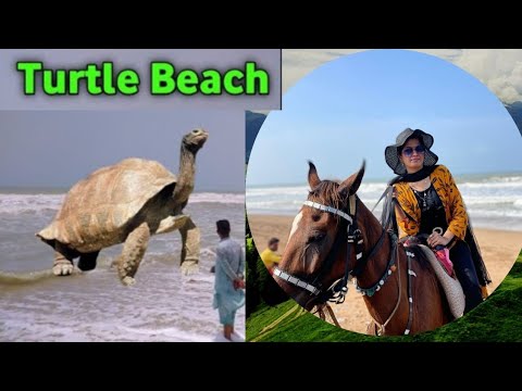 Turtle beach karachi || turtle beach 2024 || manora beach karachi ...