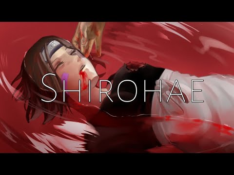 Shirohae [AMV] obirin - YouTube