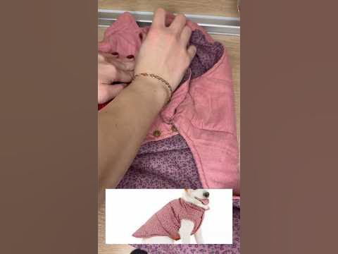 ПОКУПКИ ДЛЯ ЩЕНКА🐶 #покупки #щенок #длященка #puppy #распаковка - YouTube