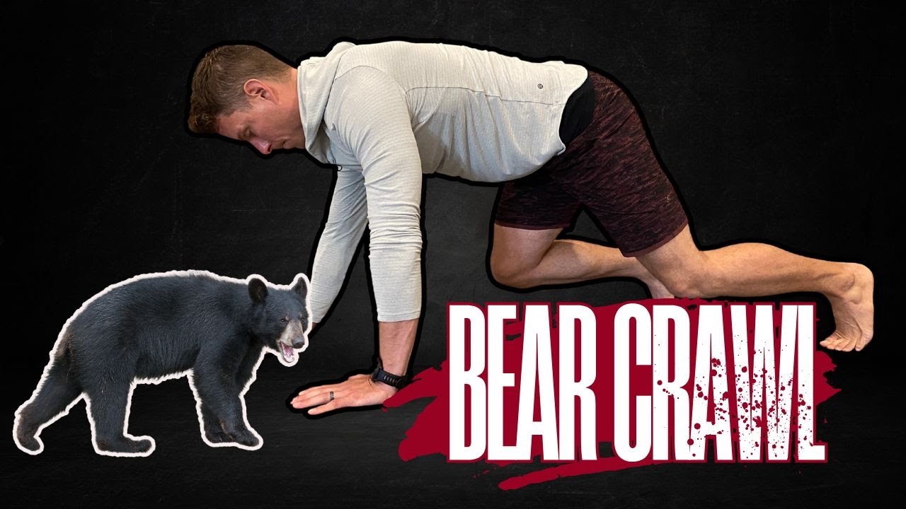 Bear Crawl - DNS 11-12 Month Exercise - YouTube