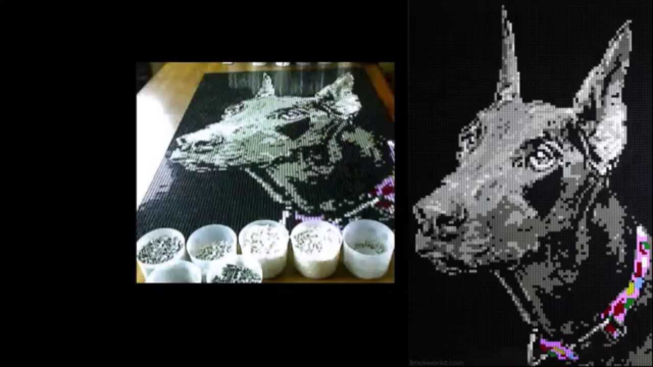 "Echo" - a Doberman LEGO portrait by Brickworkz (time-lapse!) - YouTube
