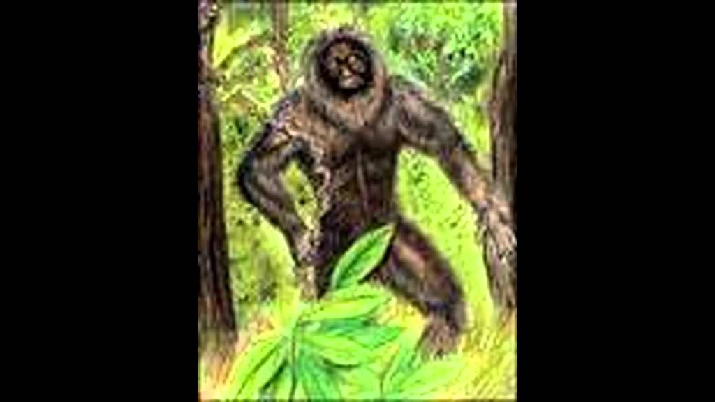 cryptids of Pakistan - YouTube