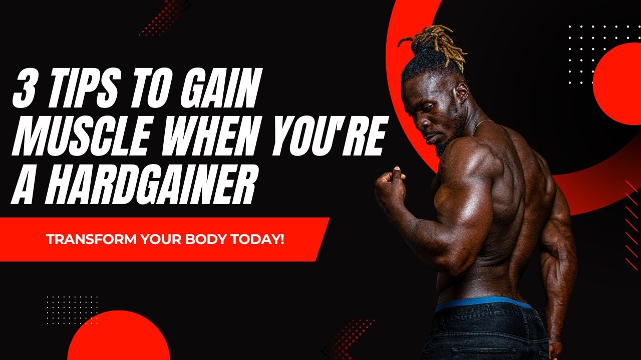 3 Tips to Gain Muscle When You're a Hardgainer - YouTube
