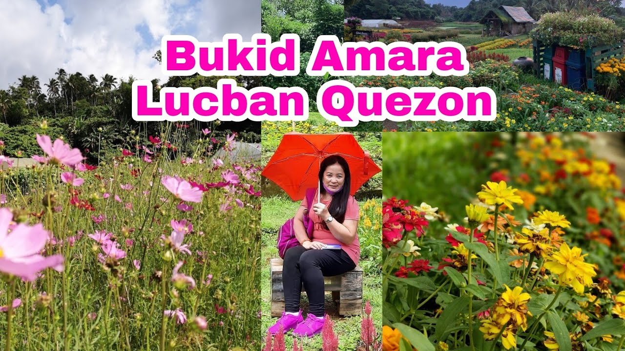 @Bukid Amara Flower Farm, Lucban Quezon Province - YouTube