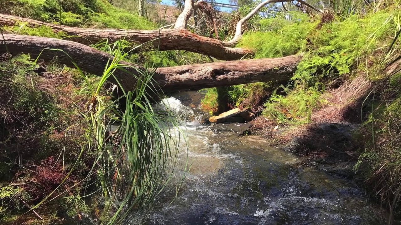 Camp Cooloola Coast - YouTube
