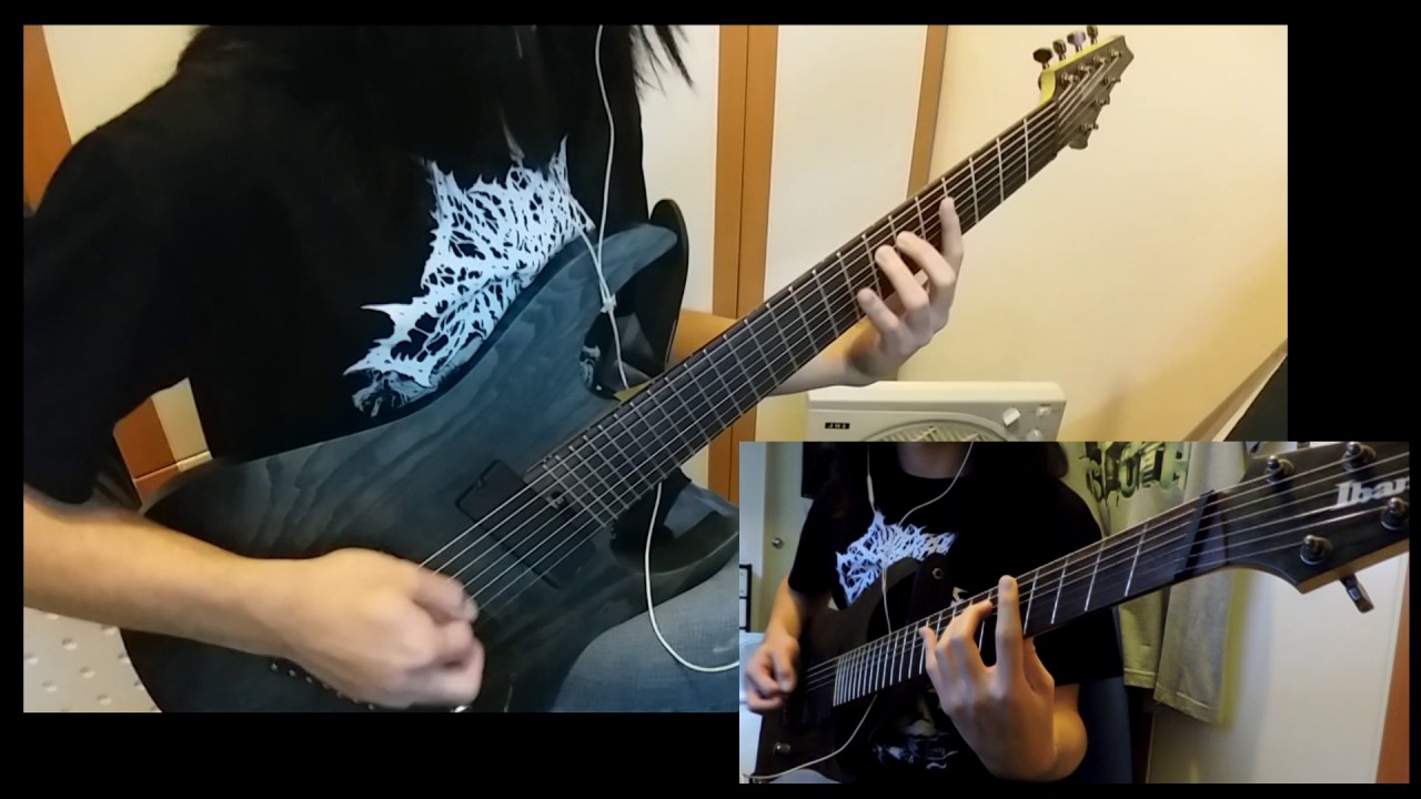 Until We Die--Bereft of Life guitar cover (w/ TABS)(Ibanez RGIF7) - YouTube
