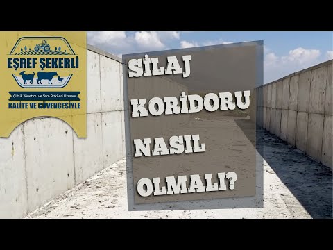 Silaj Koridoru Nasıl Olmalı? #Silaj