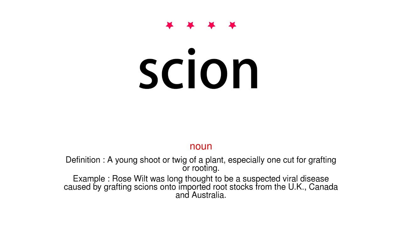 How to pronounce scion - Vocab Today - YouTube
